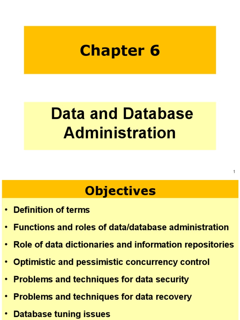 Ch6 - Data and Database Administration | PDF | Databases | Database ...