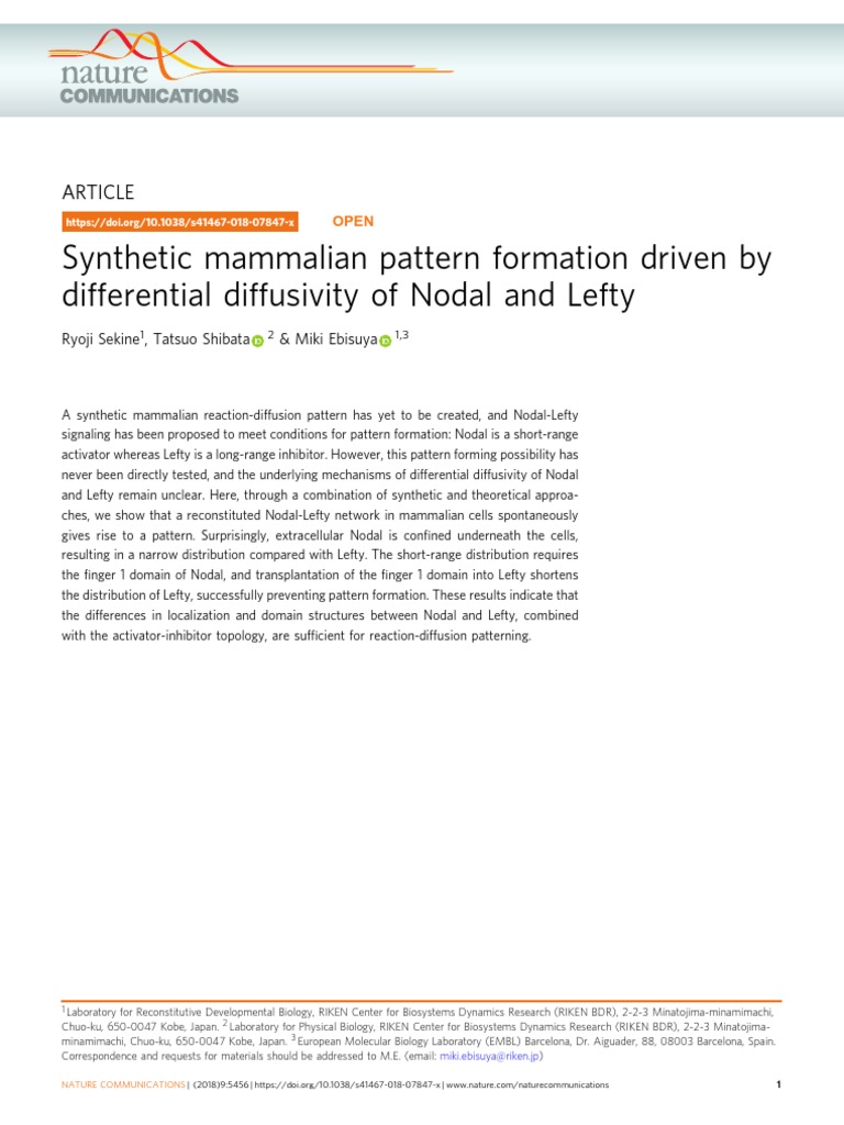 Synthetic Mammalian Pattern Formation Driven by Differential ...