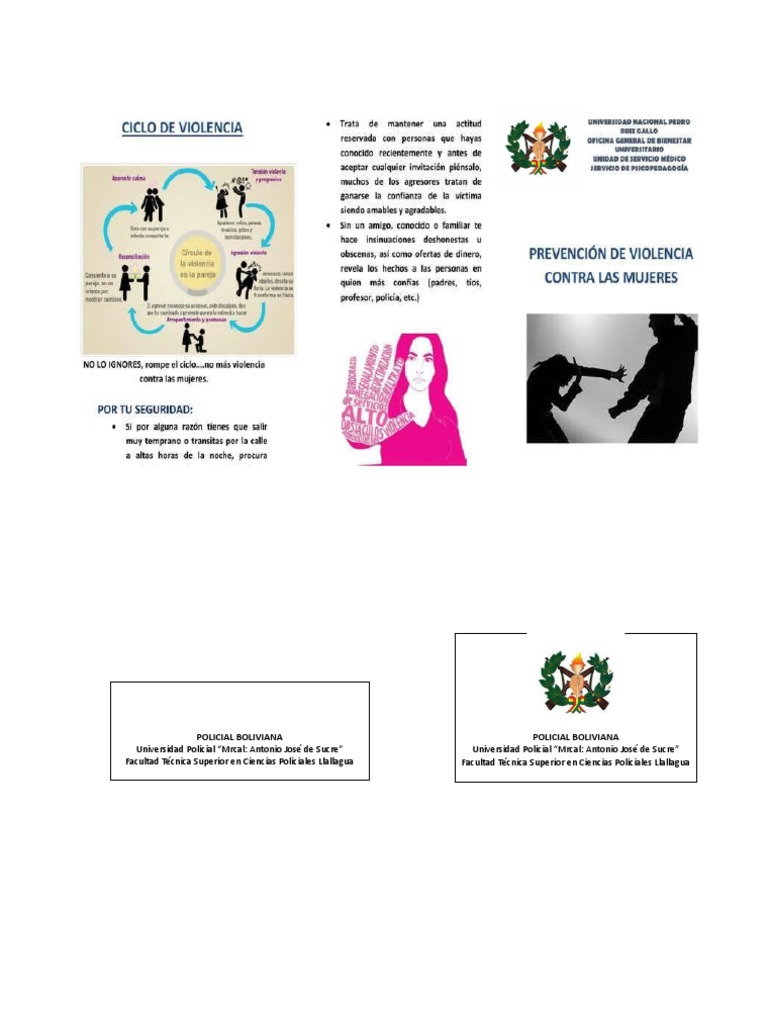 Tripticos Ley 348 | PDF