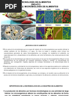 Factores CHATTO en la seguridad alimentaria | PDF | Cocina, comidas y ...