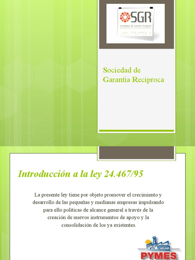 Unidad 2 - SGR - Presentacion | PDF | Pequeñas y medianas empresas | Bancos