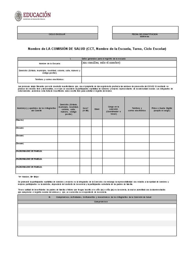 Acta Cons Comisión de Salud | PDF