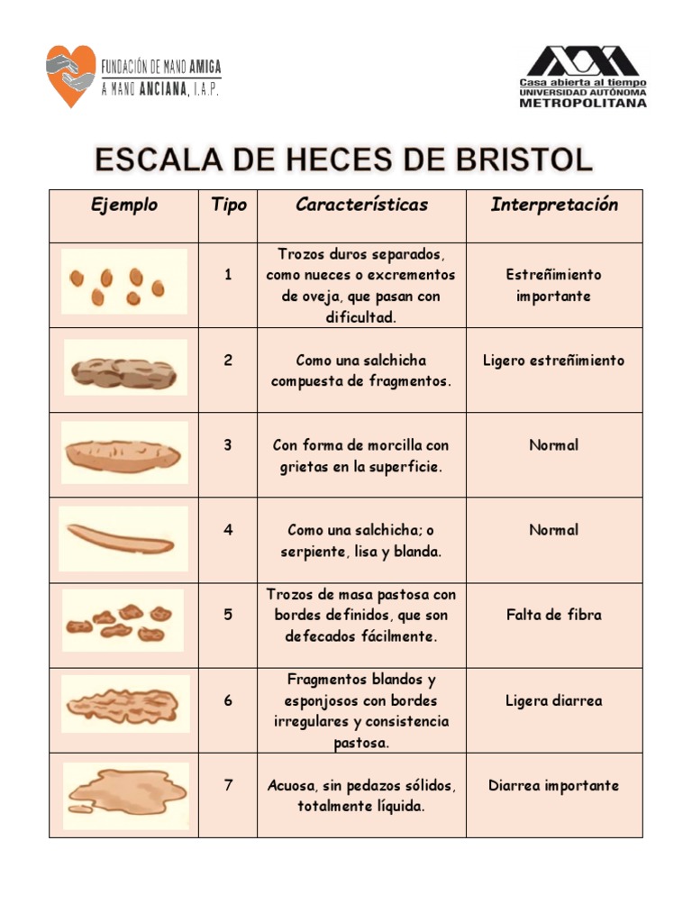 Clasificación de Heces según Bristol | PDF