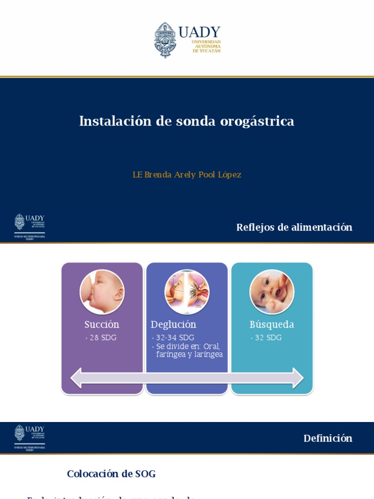 Instalación de Sonda Orogástrica: LE Brenda Arely Pool López | PDF