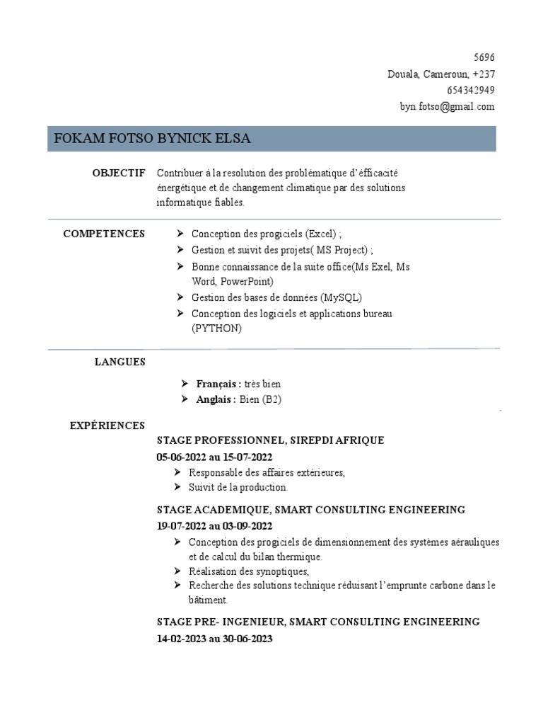 CV Elsa | PDF | Informatique