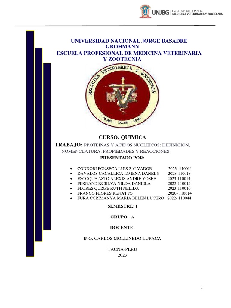 Proteinas y Acidos Nucleicos-Seccion A-Grupo Ultimo | PDF