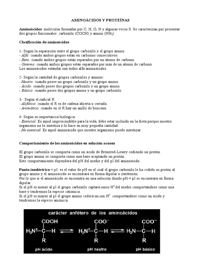 Aa Y Roteinas Pdf Aminoácidos Enzima