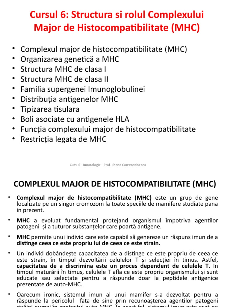 Curs 6 - MHC | PDF