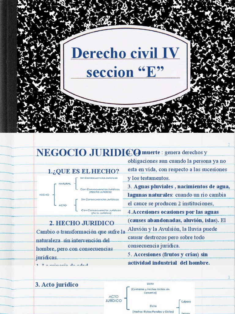 Derecho Civil IV | PDF
