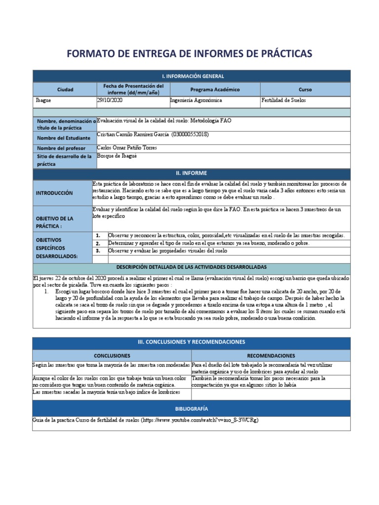 Formato de Entrega de Informes | PDF