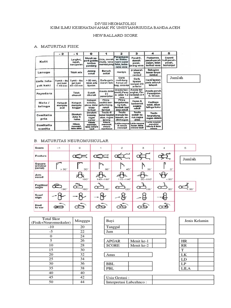 Divisi Neonatoligi NBS | PDF