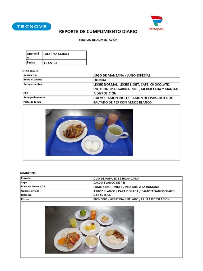 Reporte Diario de Alimentación | PDF