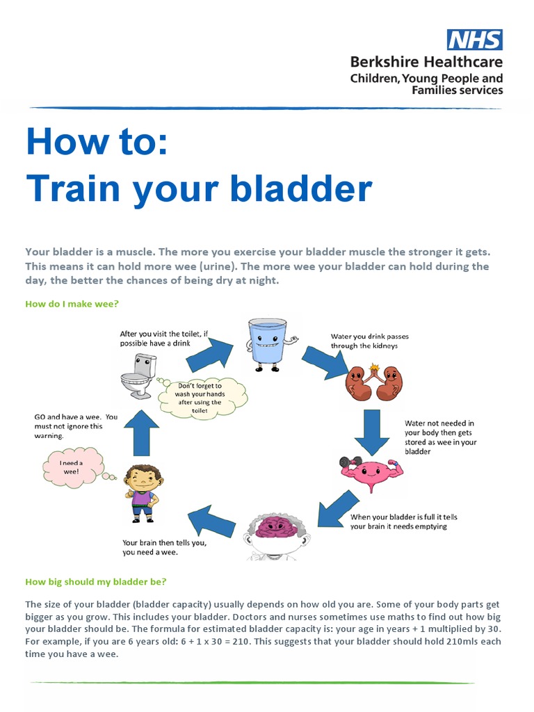 How To Train Your Bladder Oct 21 | PDF | Drink