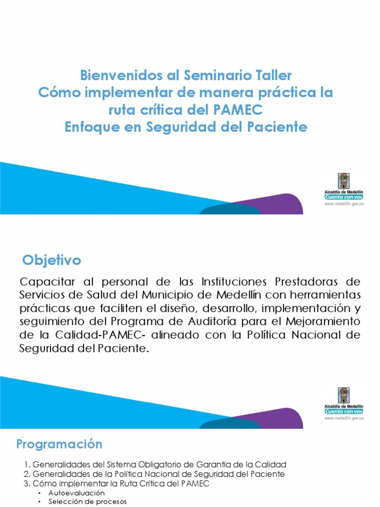 Implementación Práctica del PAMEC | PDF