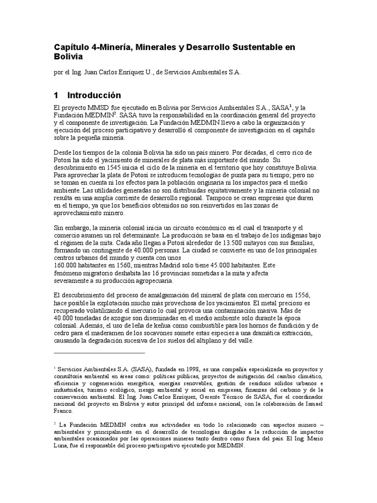 Historia de La Mineria | Descargar gratis PDF | Minería | Bolivia