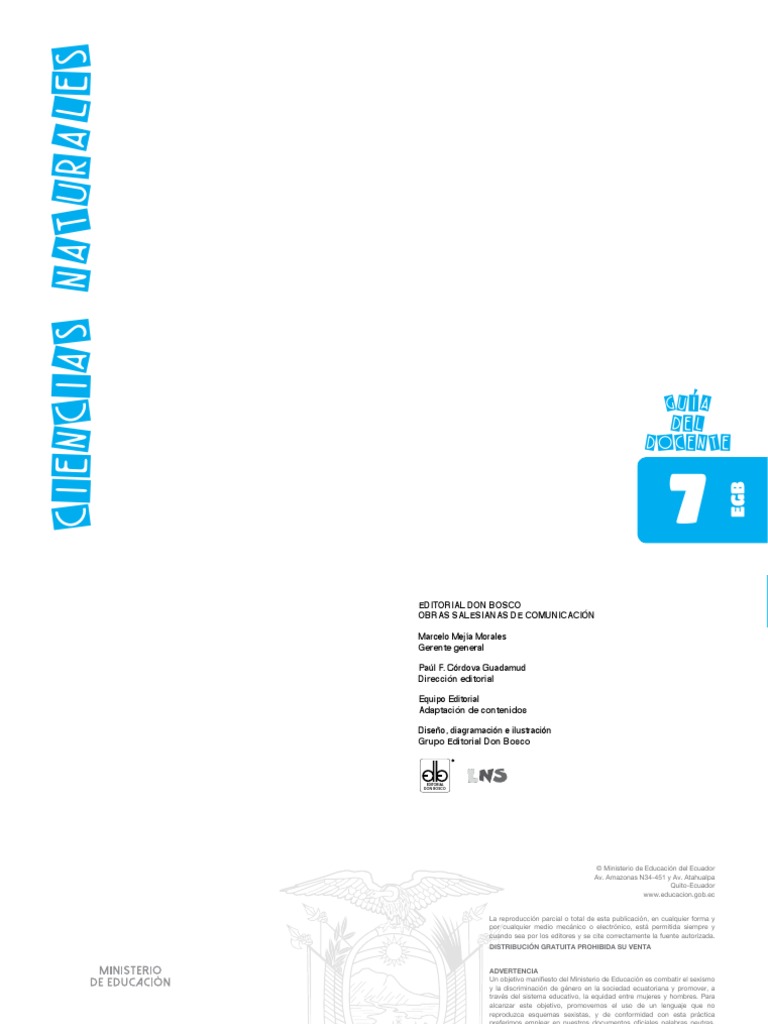 Guía CCNN 7egb | PDF