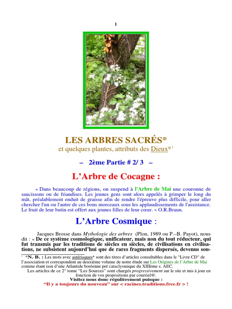 Arbres Sacrés 2 Sur 3 | PDF | Noël | Châtaigne
