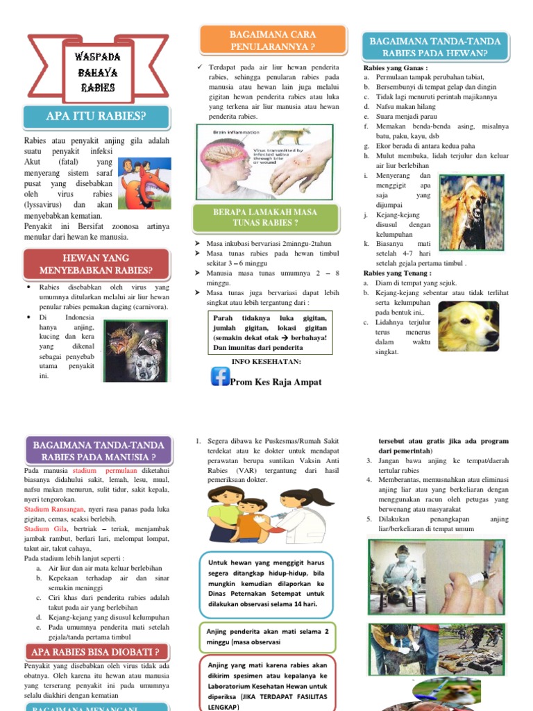 Leaflet Rabies | PDF