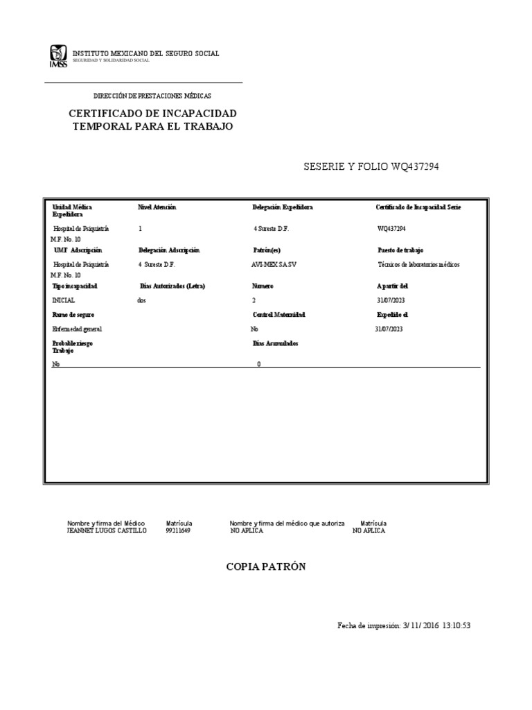 Formato Incapacidad Imss Editable Word | PDF