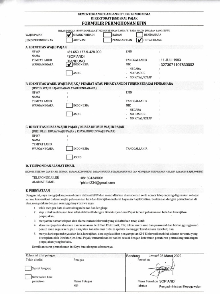 FORM Lupa EFIN | PDF