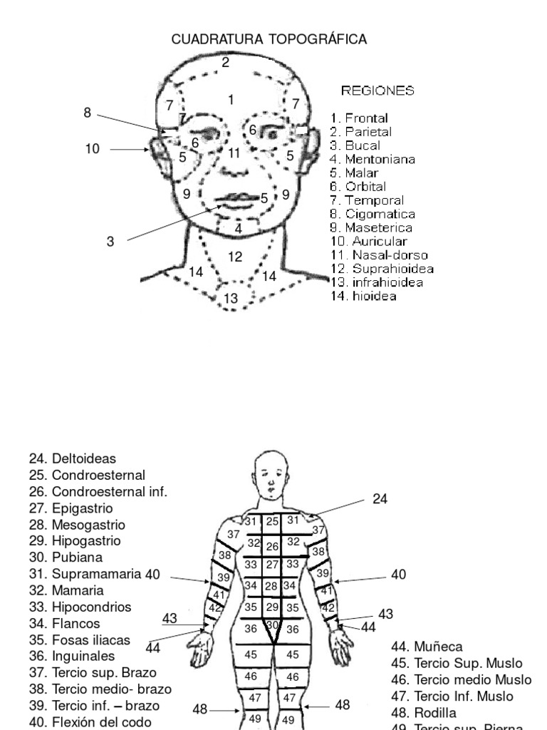 Cuadratura Topográfica | PDF