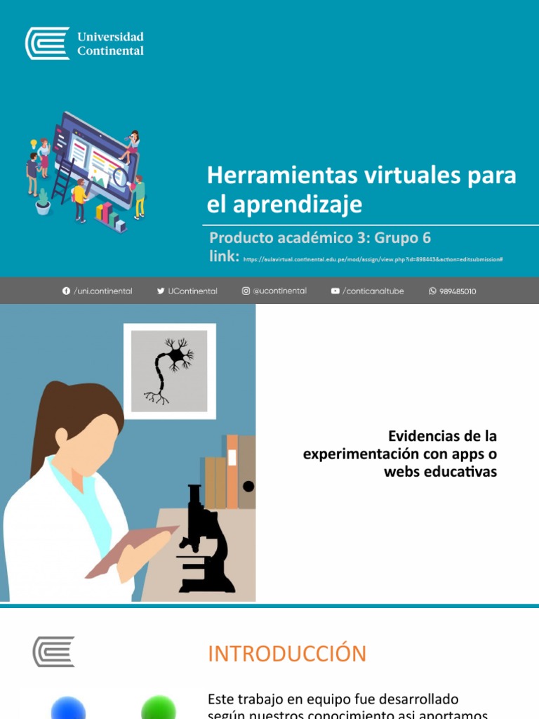 P.A. 3 Grupo N°6 | PDF | Contabilidad | Software de la aplicacion