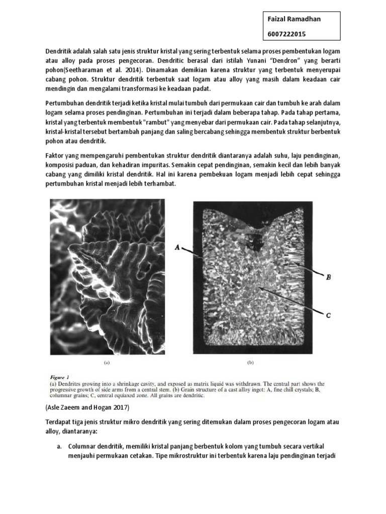 Struktur Mikro Dendritik pada Logam | PDF | Teknologi & Rekayasa