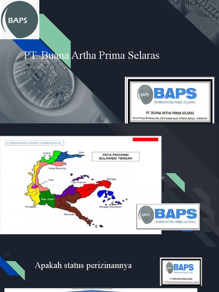 Summary PT - BAPS | PDF
