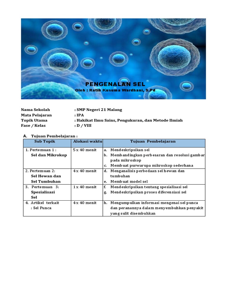 MODUL AJAR IPA KELAS VIII FASE D-SEL (Ratih) | PDF
