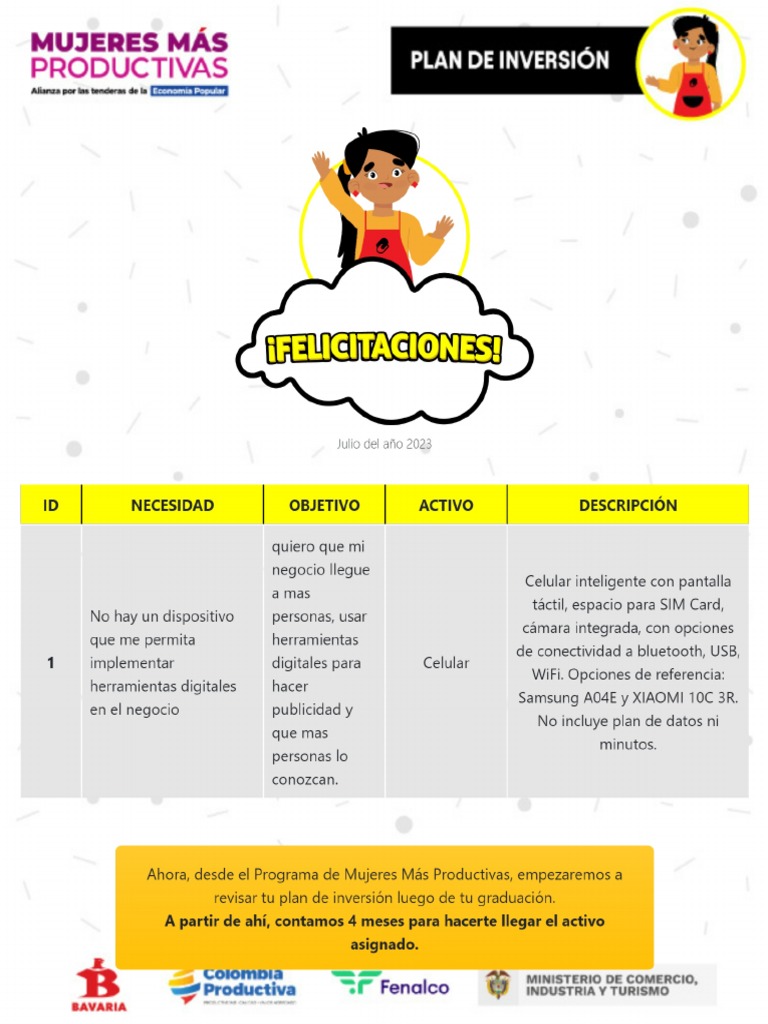 Plan de Inversion | PDF