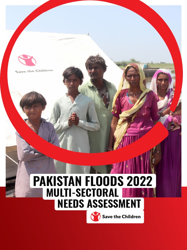 Pakistan MSNA Report 2022 Final | PDF | Wash | Food Security