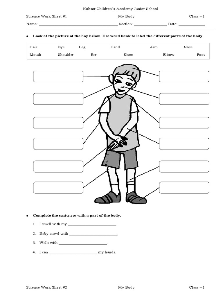 Science Class I Worksheets 2015 My Body - Keepint Myself Clean | PDF ...