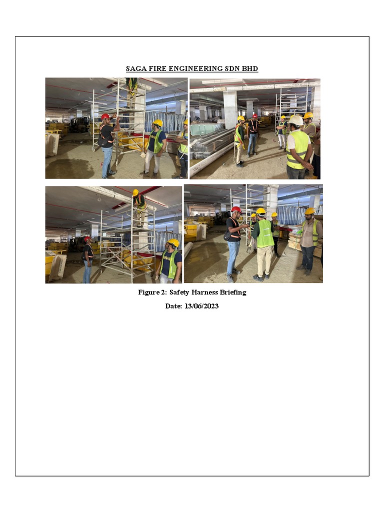 Safety Harness Briefing Overview | PDF