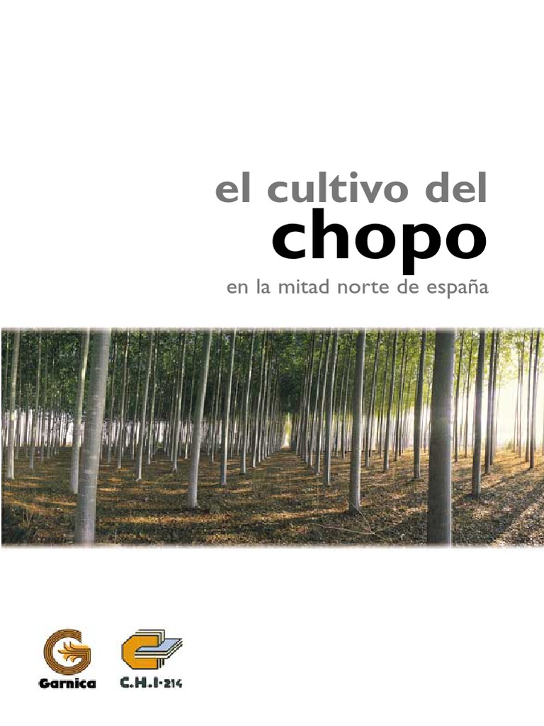 Manual Cultivo Del Chopo | PDF
