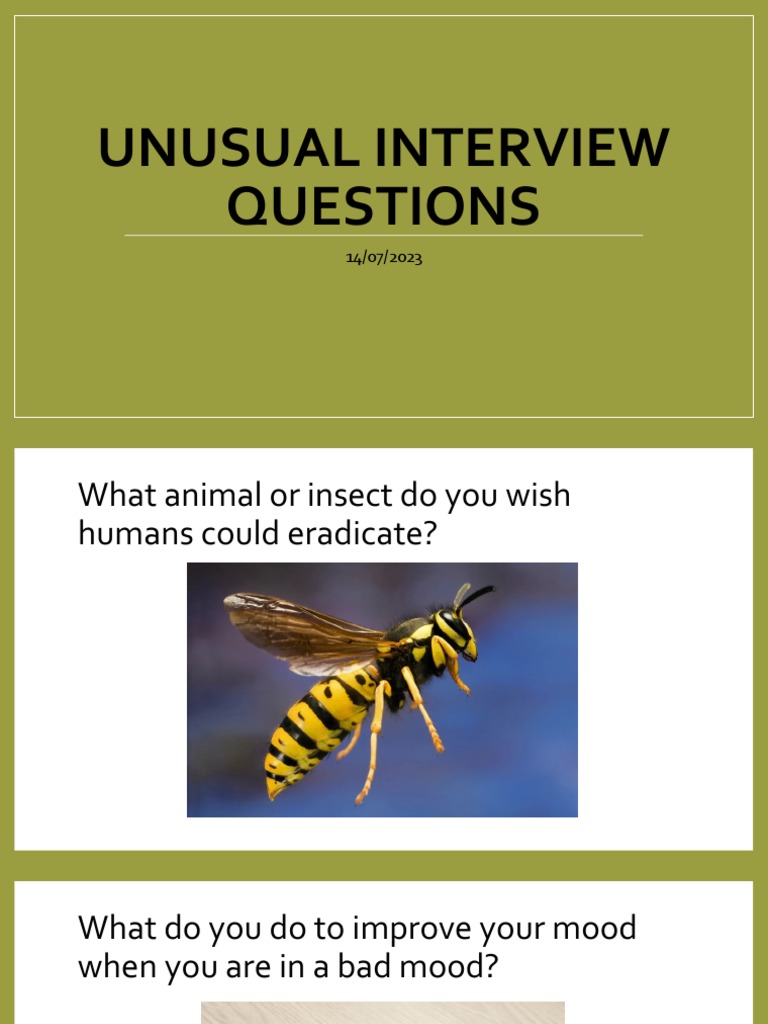 Unusual Interview Questions 03.07 | PDF Unusual Interview Questions 03.07 | PDF