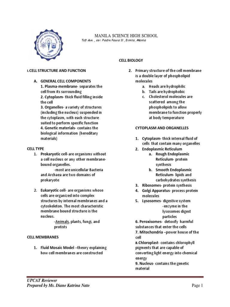 Upcat Reviewer Grade 11 Sy 2022 2023 | PDF