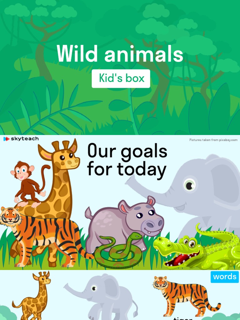 Wild Animals | PDF