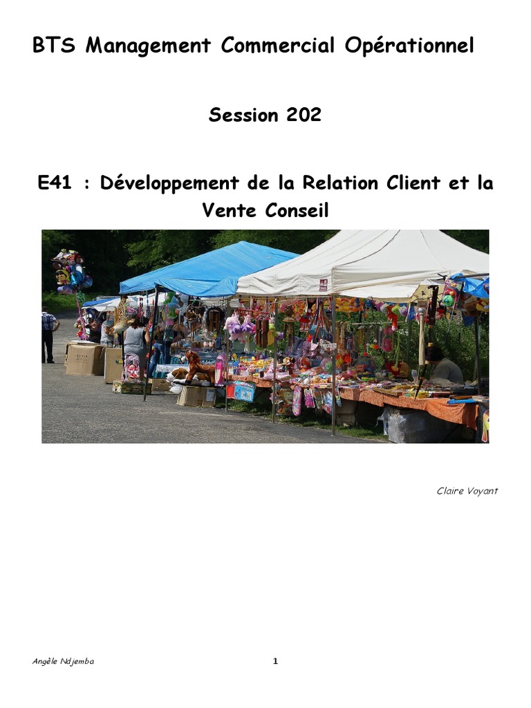 Bts Mco E41 La Matrice Angele 2 2 | PDF
