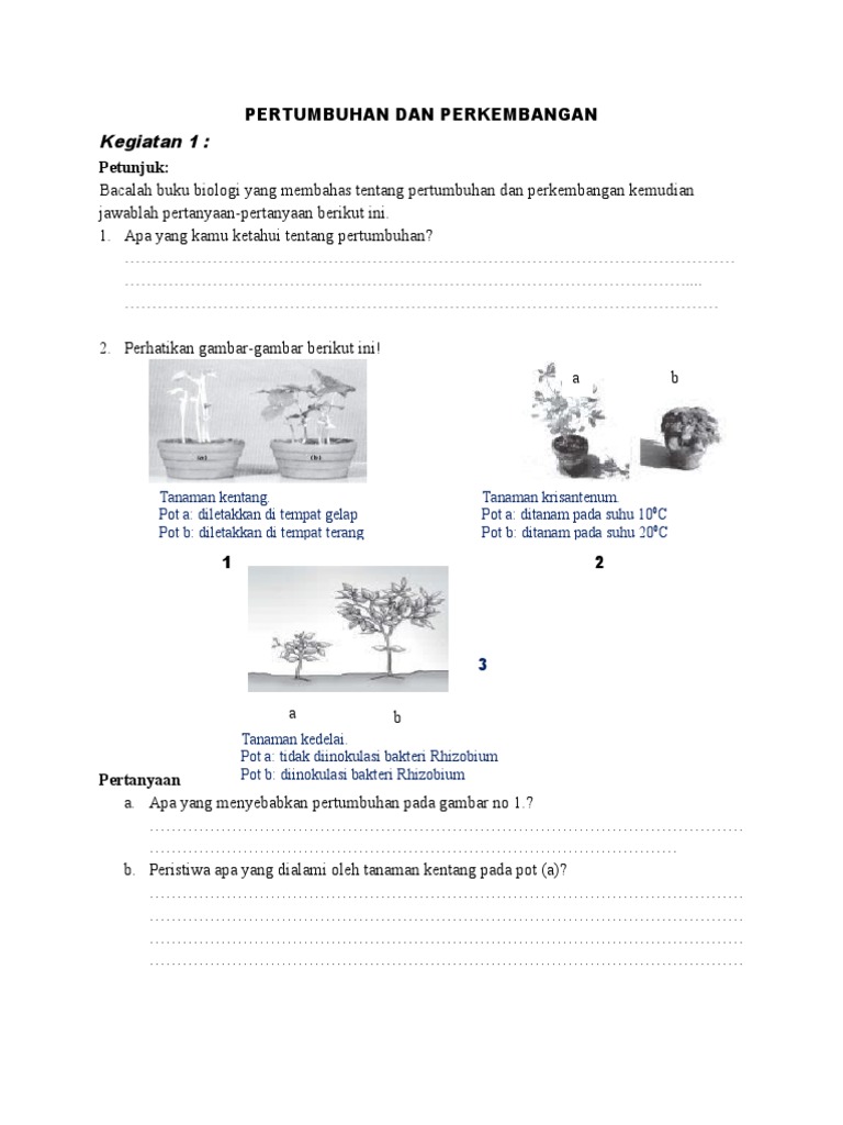 LKPD Pertumbuhan Dan Perkembangan | PDF