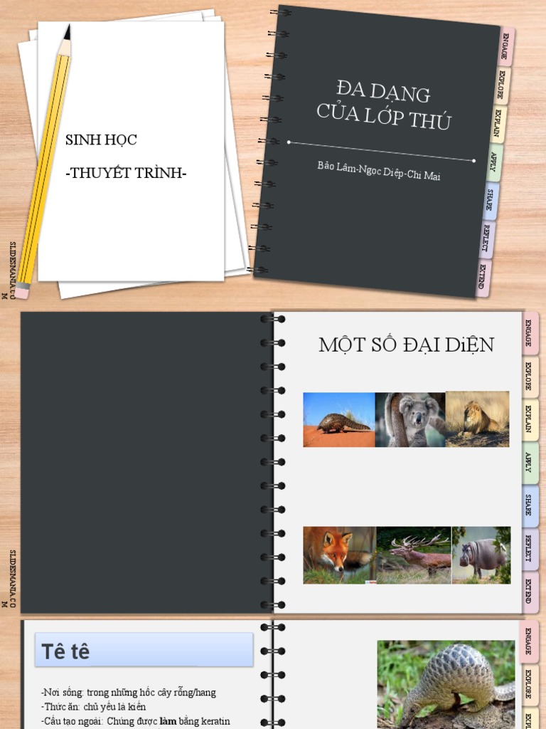 Hyperdoc Handbook · SlidesMania - Sinh học thuyết trình | PDF