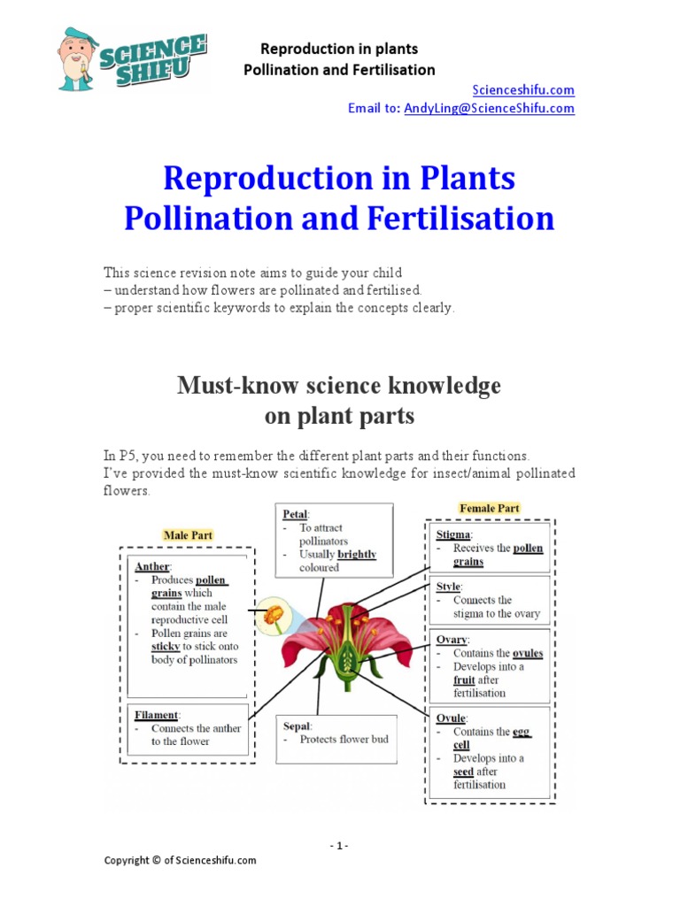 Science Revision Notes - Reproduction in Plants - Pollination and ...