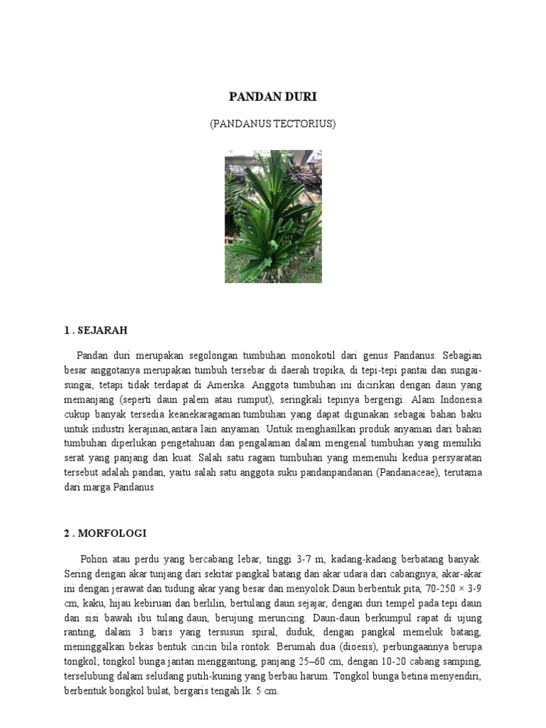 Pandan Duri | PDF