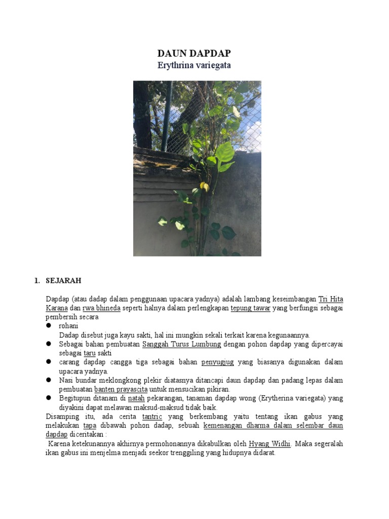 Daun Dapdap | PDF