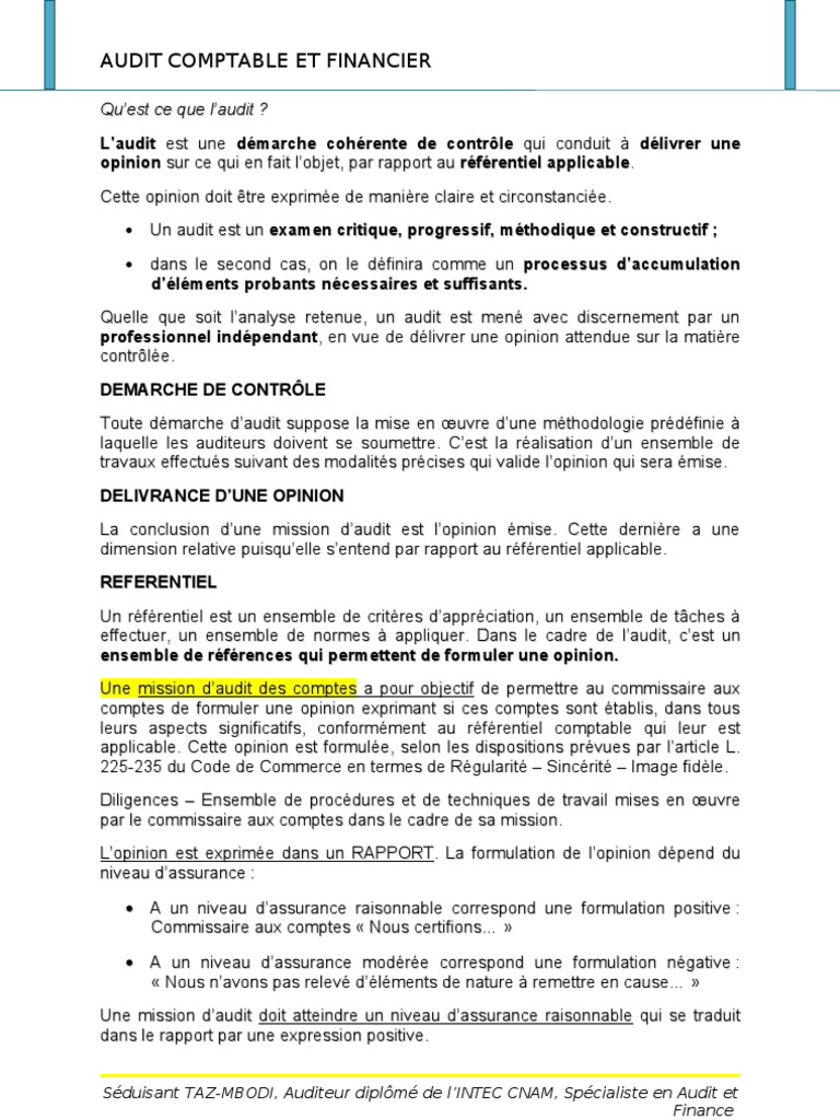 Synthese Audit Financier Et Comptable | PDF