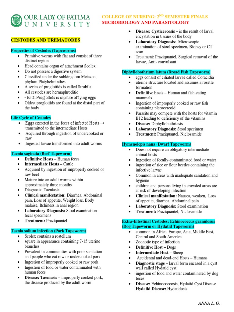 Cestodes and Trematodes Overview | PDF | Medicine | Animals And Humans
