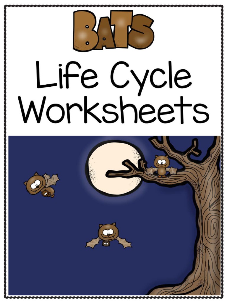 Bat Life Cycle Worksheets A | PDF