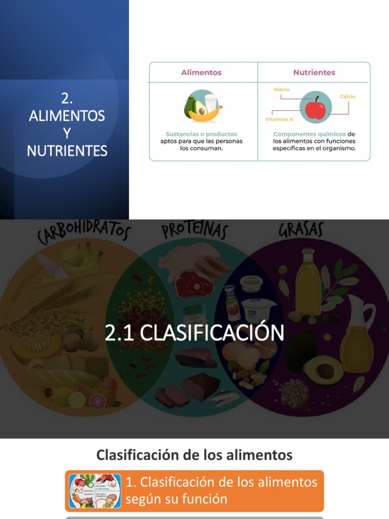 Clasificación de Nutrientes y Alimentos | PDF | Alimentos | Agua