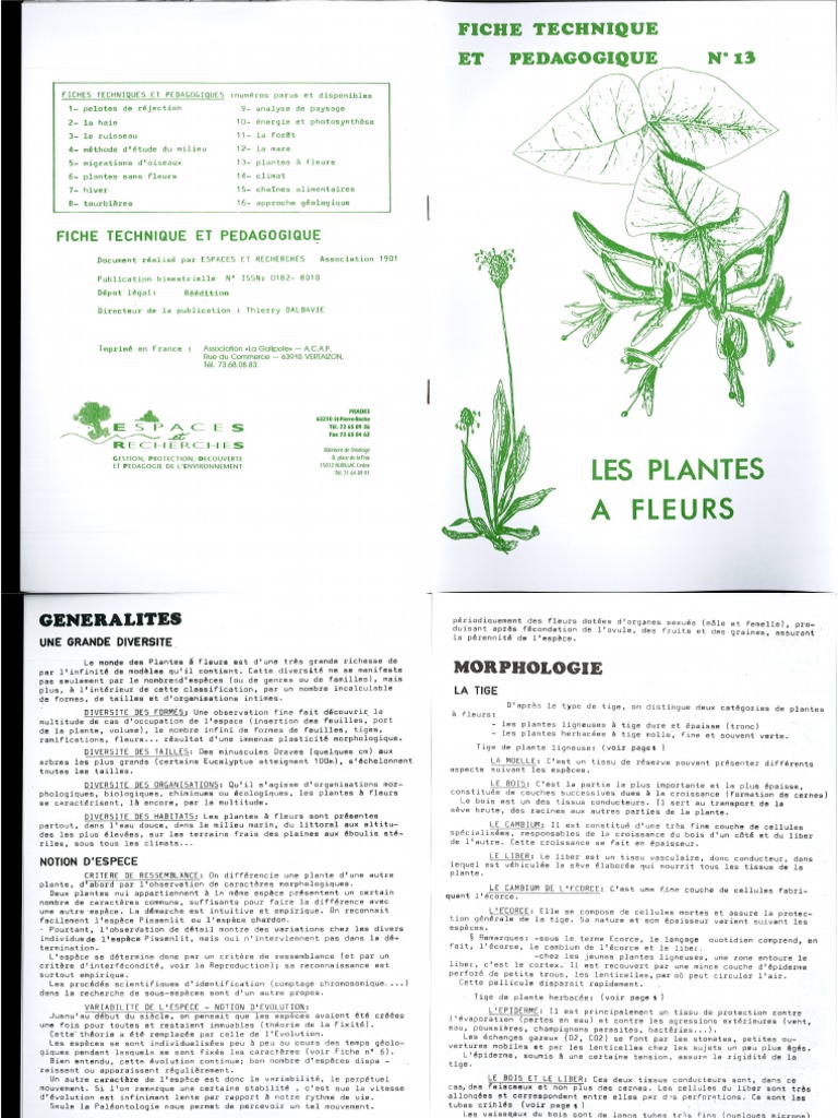 FTEP N°13 Les Plantes À Fleurs | PDF