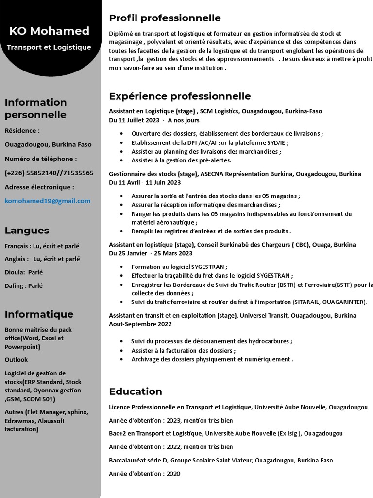 CV Auditeur 110110 | PDF