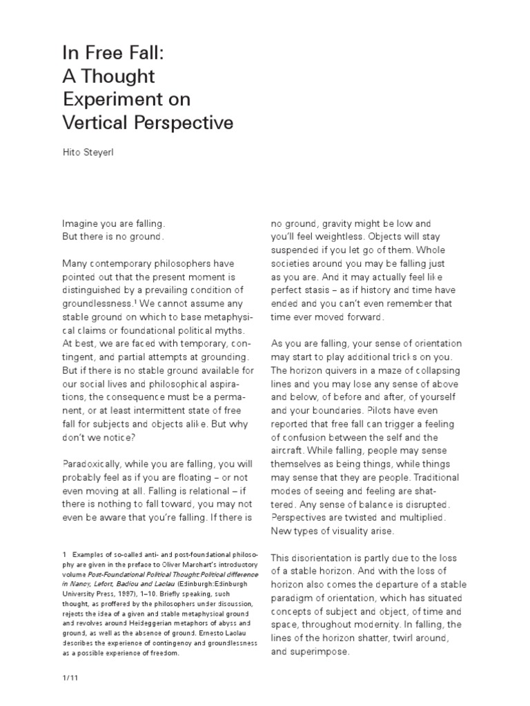 hito steyeld in_free_fall | PDF